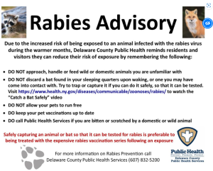 Rabies - Public Health